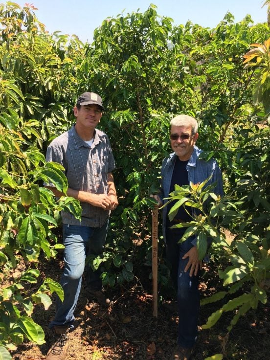 Our Goals … – Coffee Genome